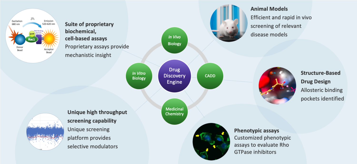 Revere Pharmaceuticals | Small Molecule Therapeutics | Our Platform